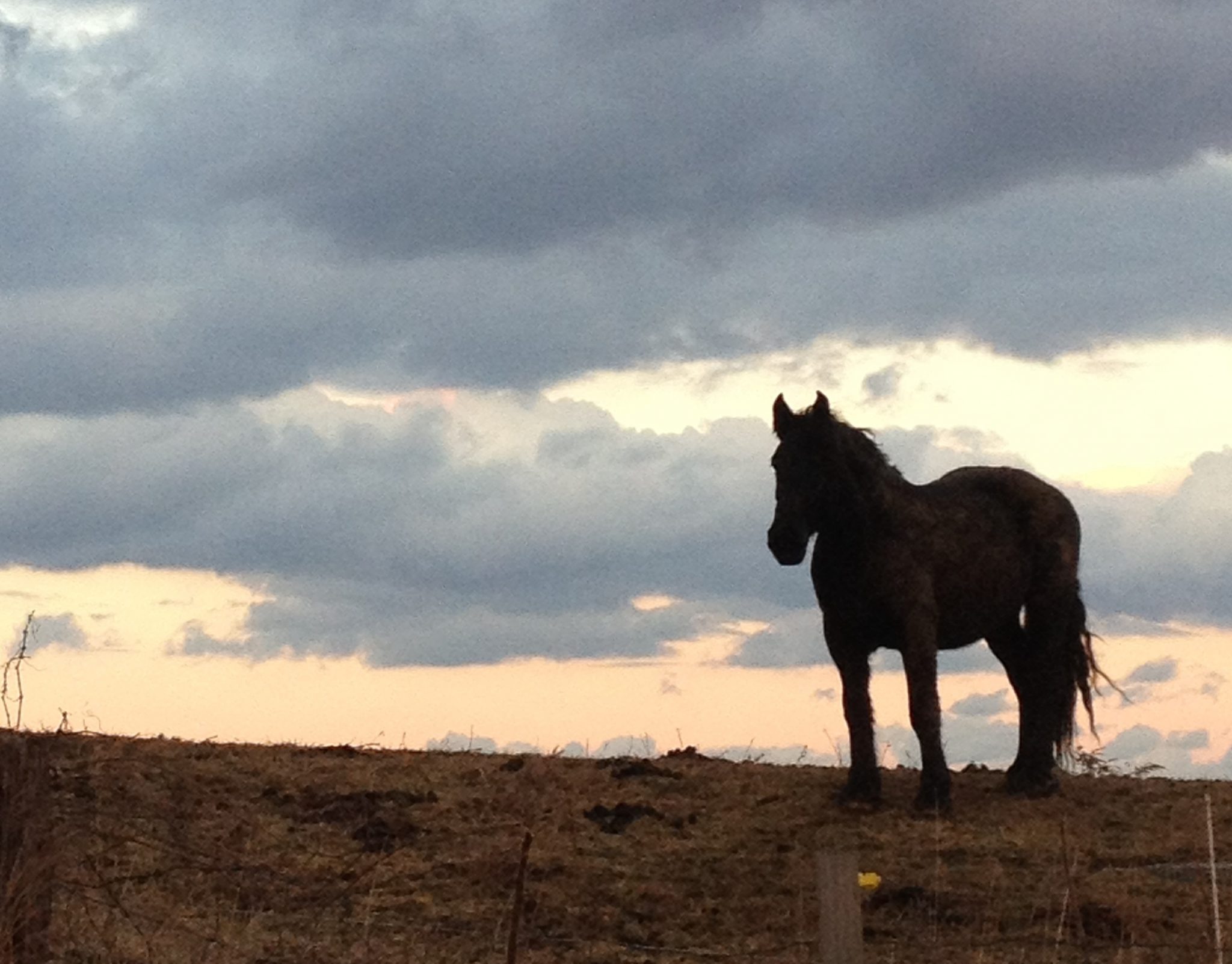 Farm Profile: Greyrock Farm - Agrarian Trust