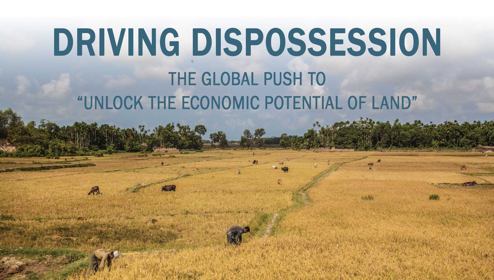 New Report: "Driving Dispossession: The Global Push to “Unlock the ...