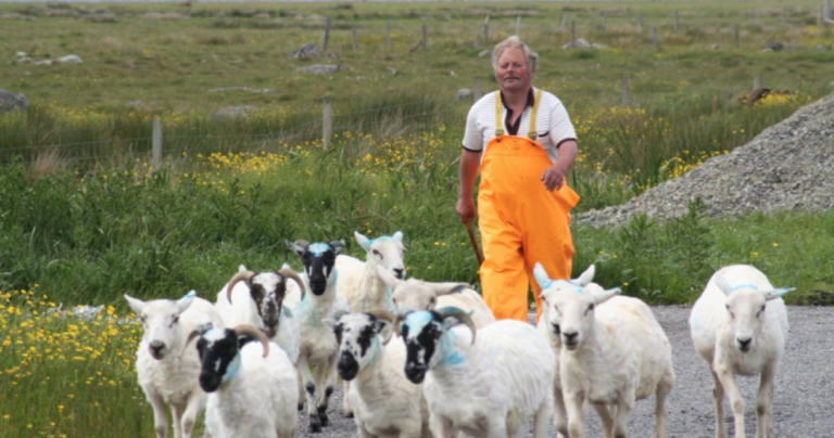 Global Spotlight: Community Land Scotland - Agrarian Trust