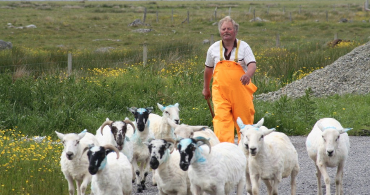 Global Spotlight: Community Land Scotland - Agrarian Trust