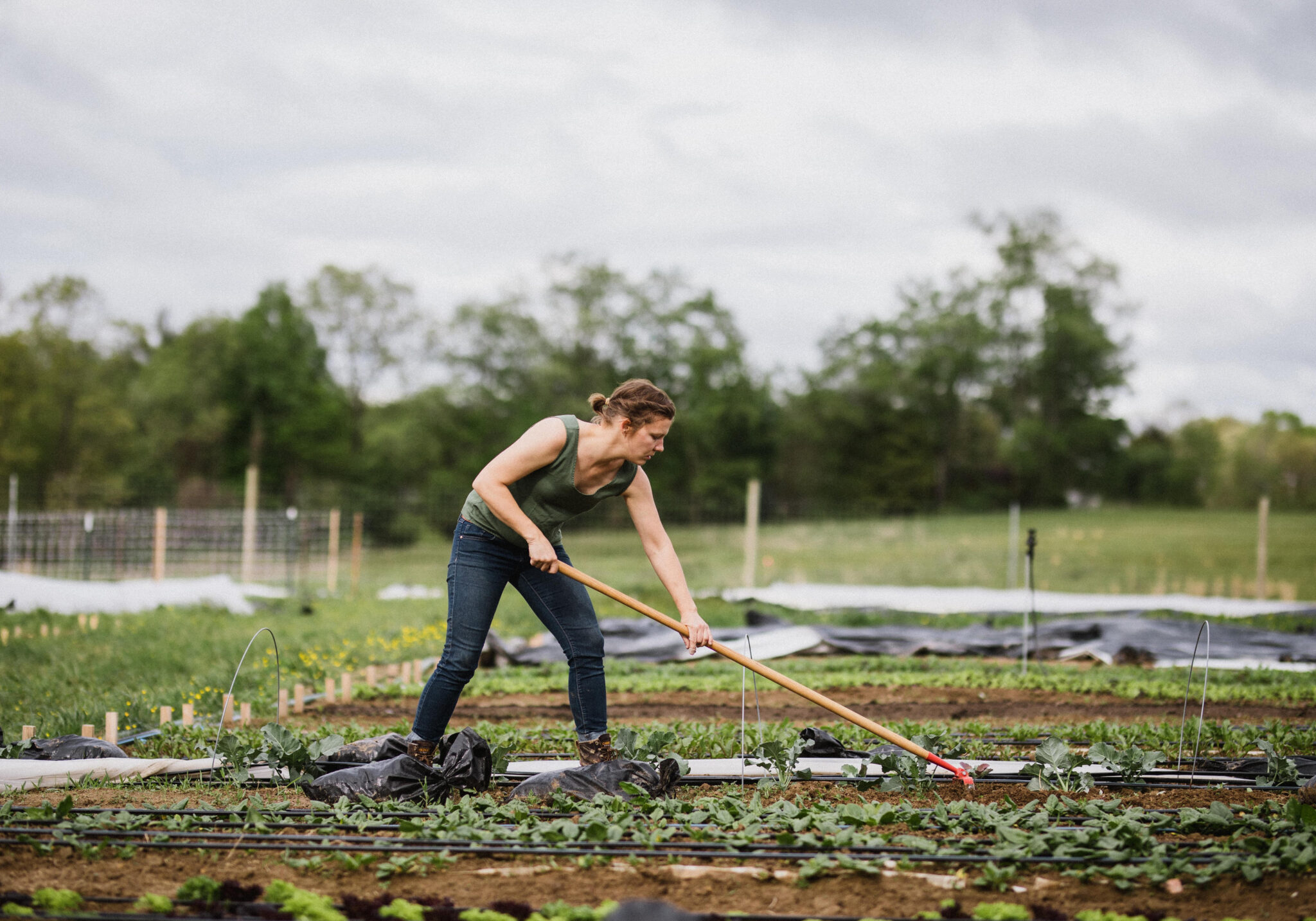 Regenerative Farmers Need Land - Agrarian Trust